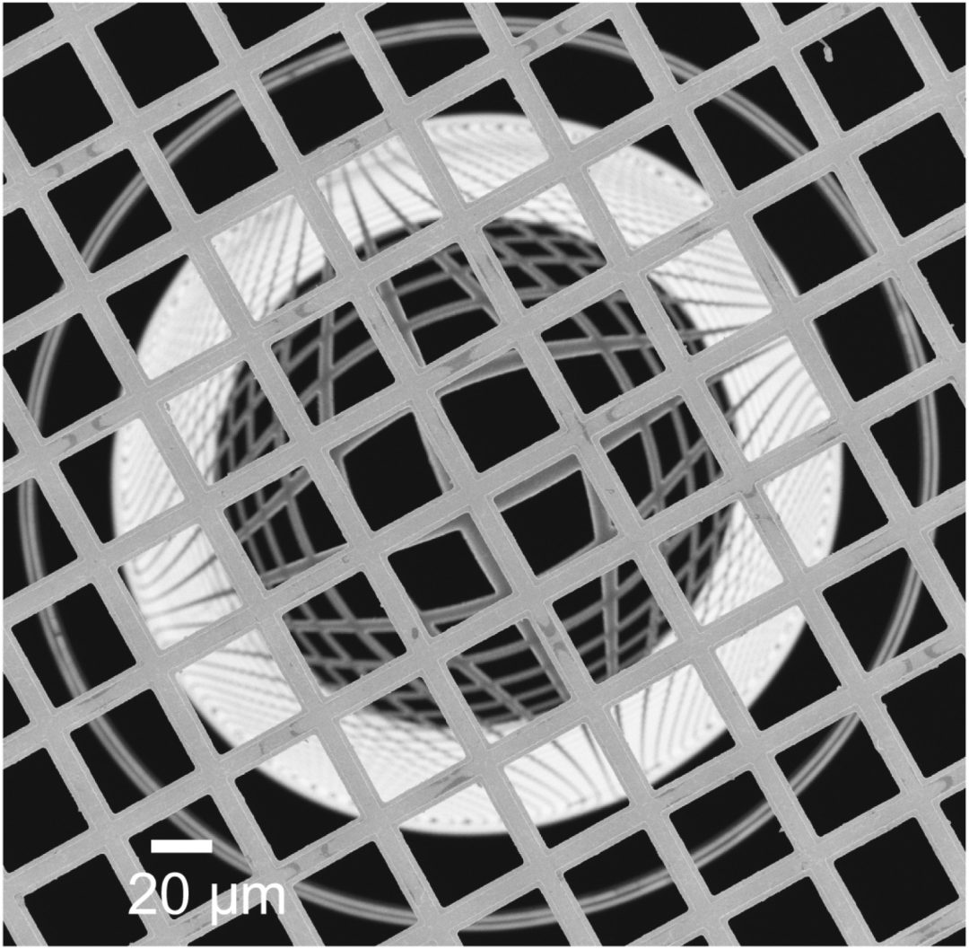 New Publication “Electrostatic electron mirror in SEM for simultaneous ...